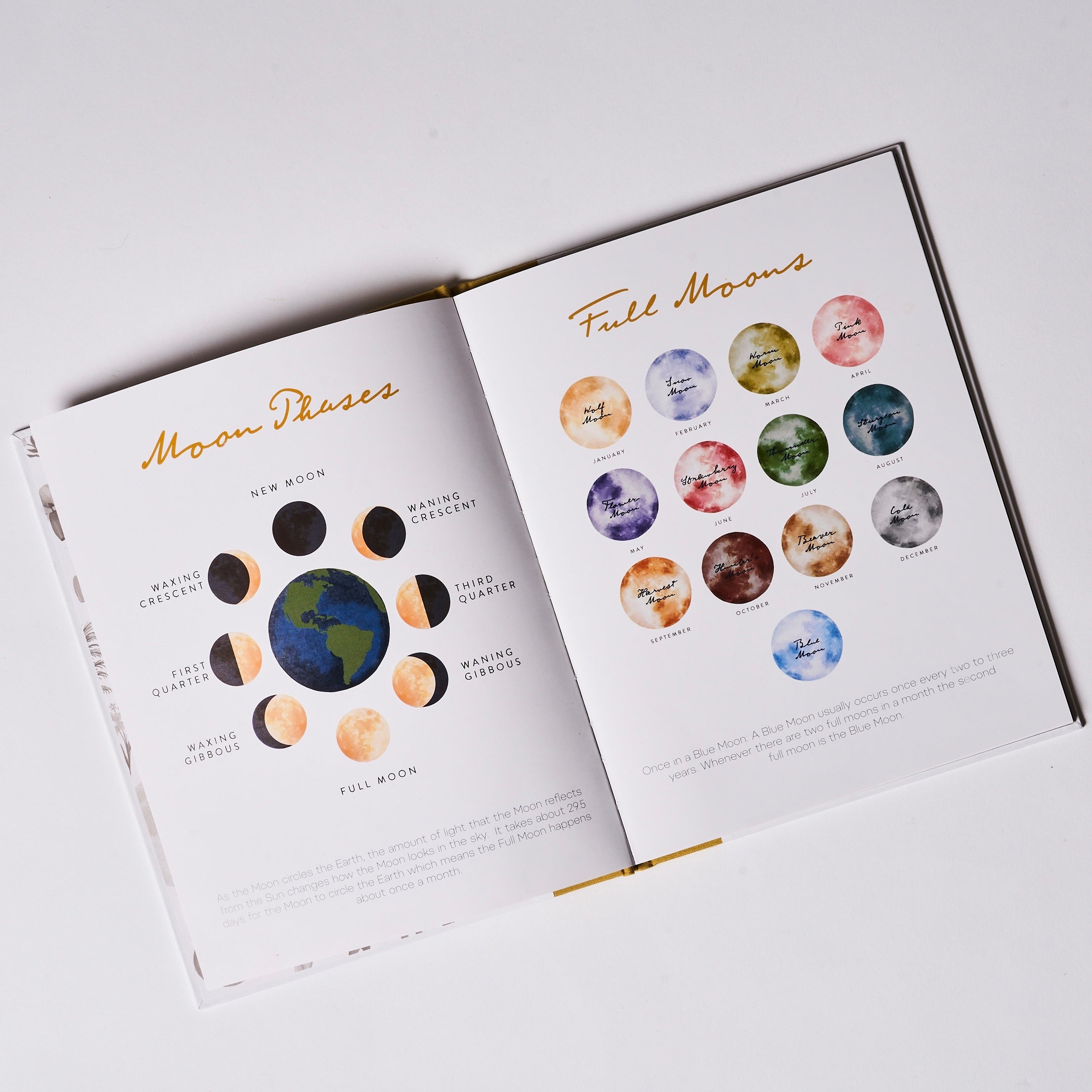 Full Moon Fairy Book Series: Magical Stories & Trinket Subscription